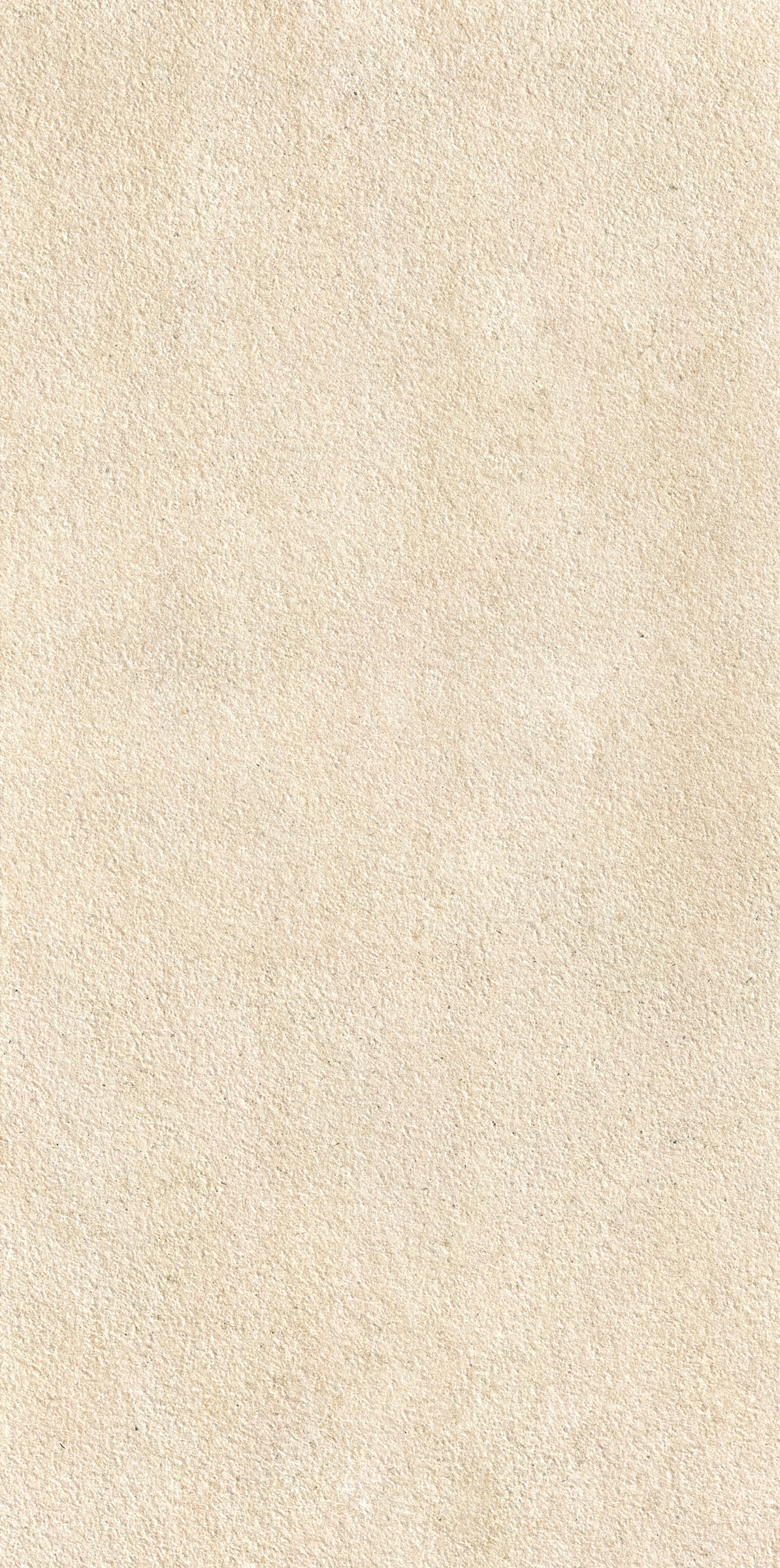 Next Pro Beige | AD130874RT | Pavigrés